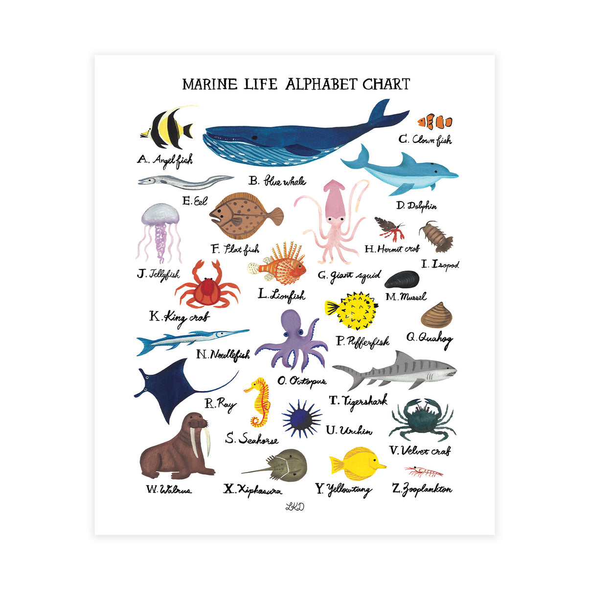 Marine Life Alphabet Chart Art Print – Lily Kao Design